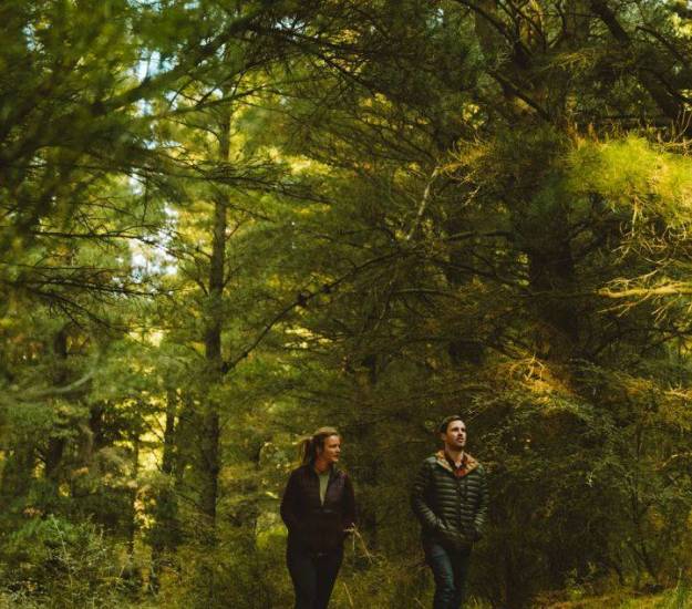 Facilities and Service | Montrose Estate